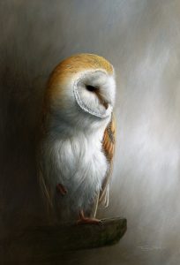 'Tree Free' Barn owl 6x4" card - Jeremy Paul Wildlife Artist