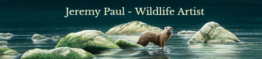 Home | Jeremy Paul Wildlife Artist