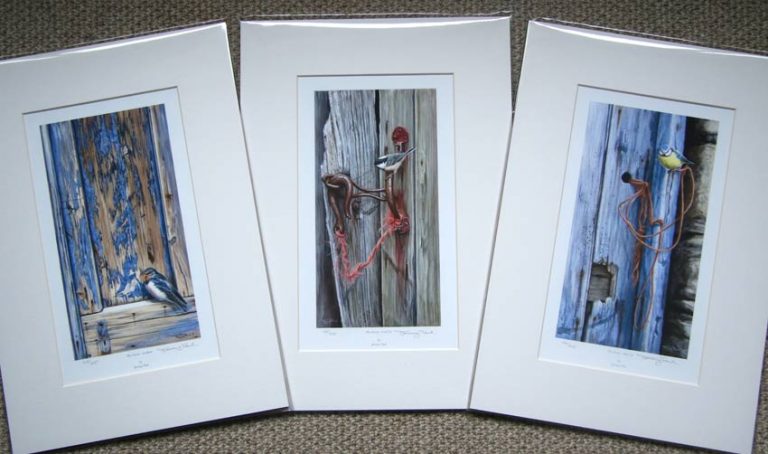 Home - Jeremy Paul Wildlife Artist